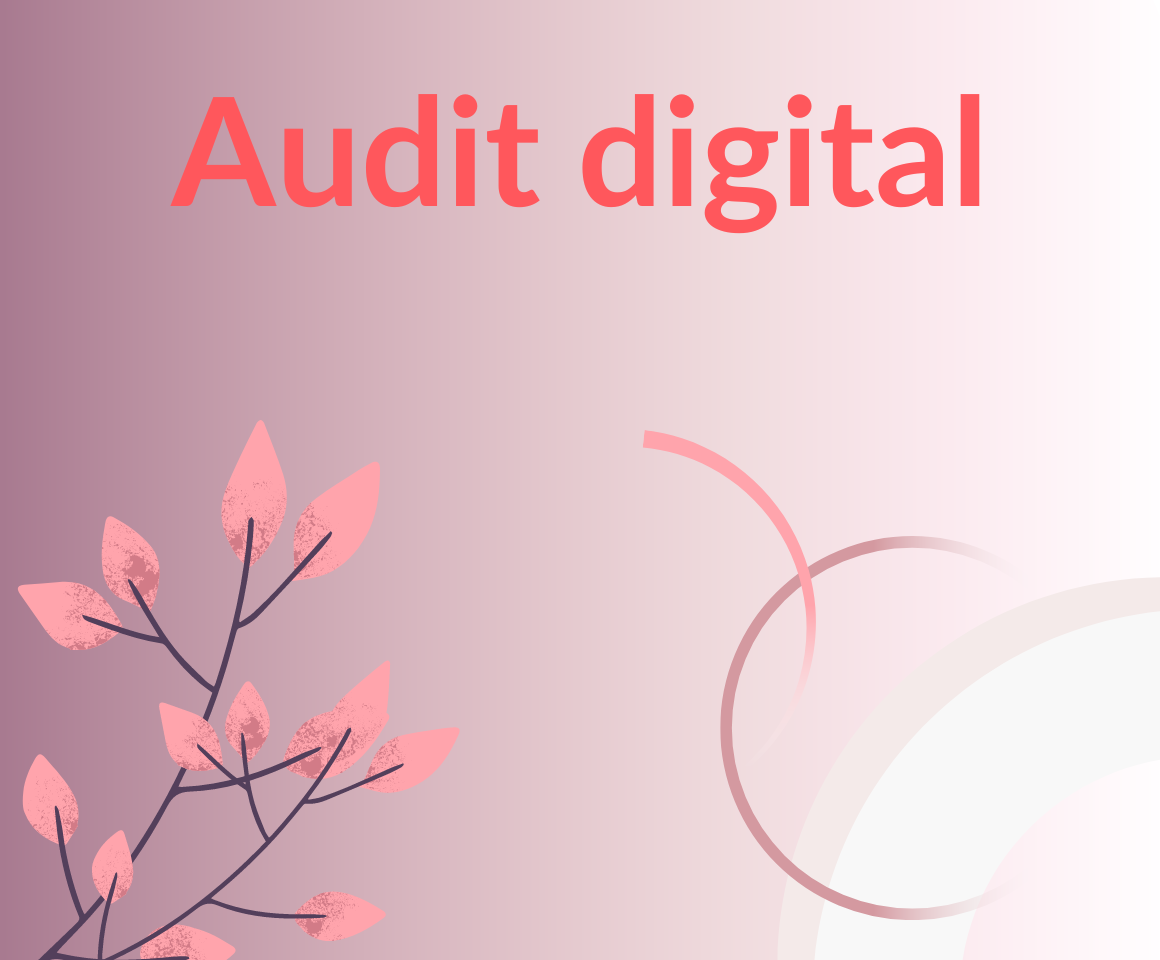 Audit Digital – SWAZIG Communication