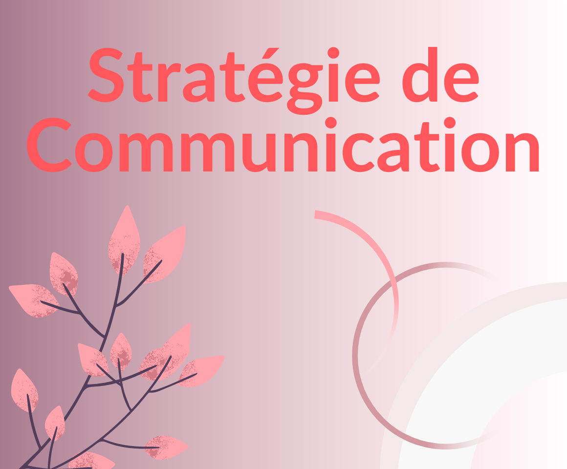 Stratégie de Communication – SWAZIG Communication